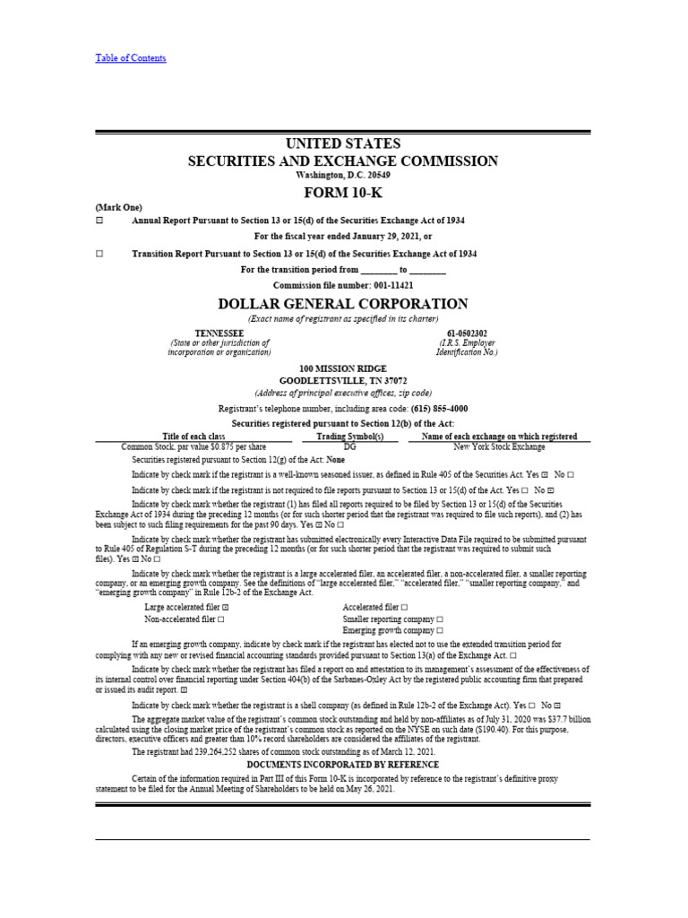 Annual Report - DG | PDF | Retail | Form 10 K