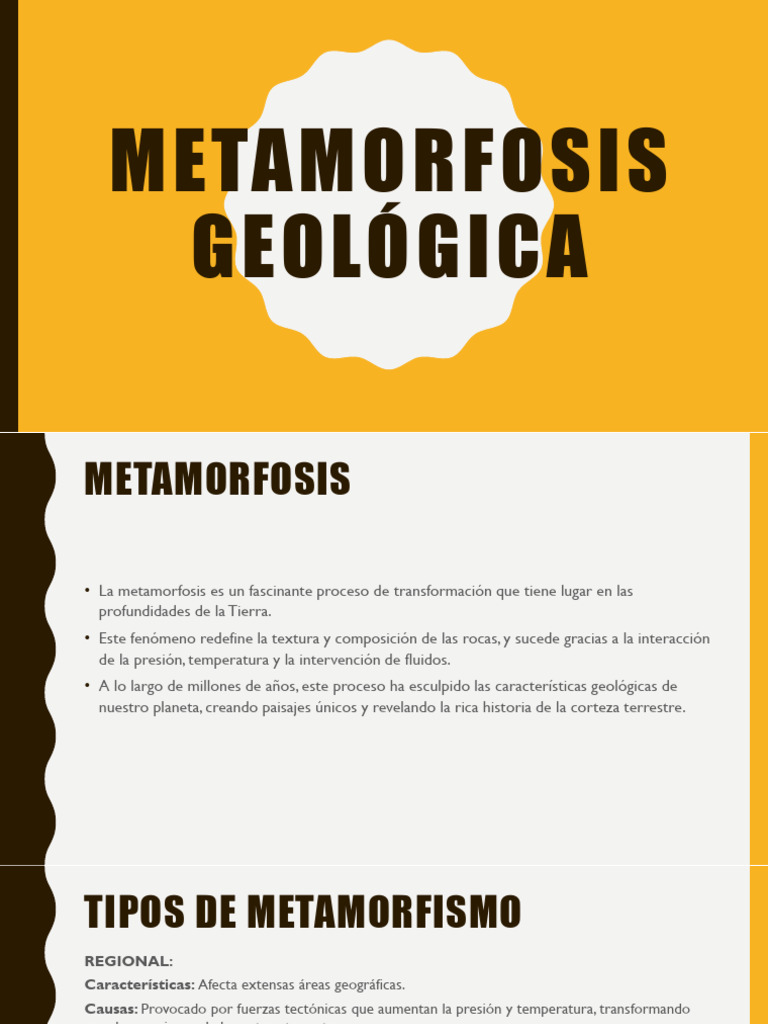 Metamorfosis Geológica: Tipos y Procesos | PDF | Roca (geología) | Roca ...