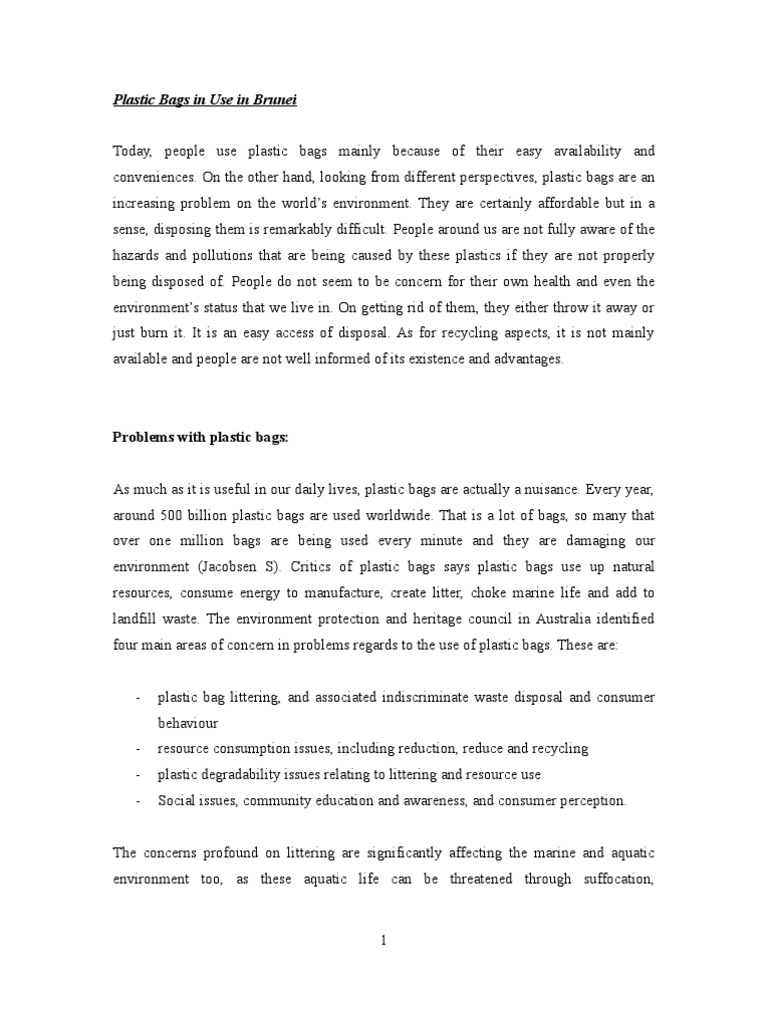 Statement of Problem | PDF | Recycling | Plastic