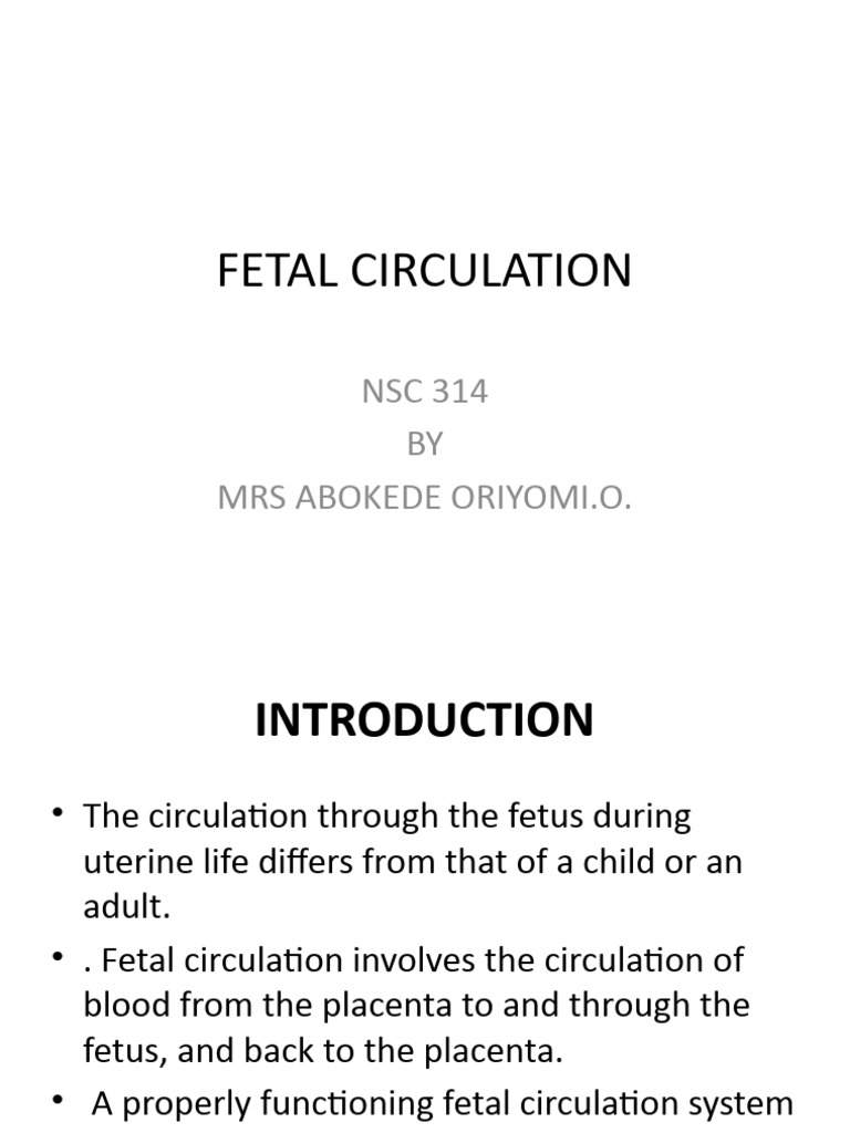 Fetal Circulation | PDF | Fetus | Artery