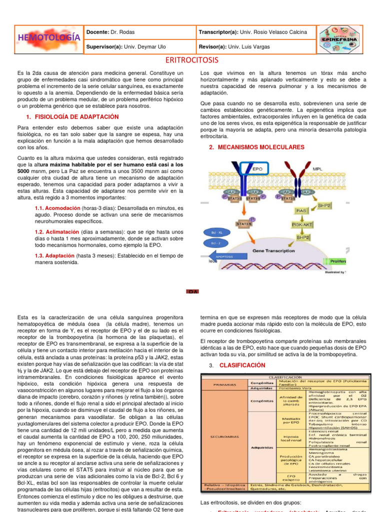 He1-T8-R1 Eritrocitosis y Policitemia | PDF | Transducción de señales ...