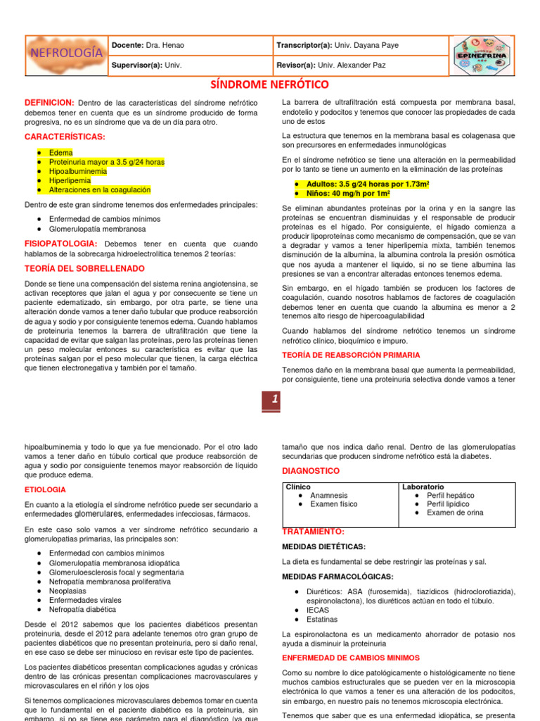 NE1-R1-T7 SINDROME NEFROTICO Rev | PDF | Especialidades Medicas ...