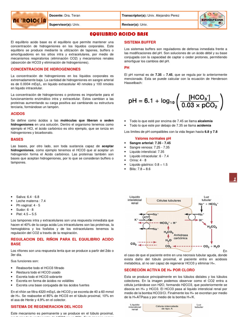 Ne1-R1-T8 Equilibrio Acido Base Transcripcion | PDF | Solución tampón ...