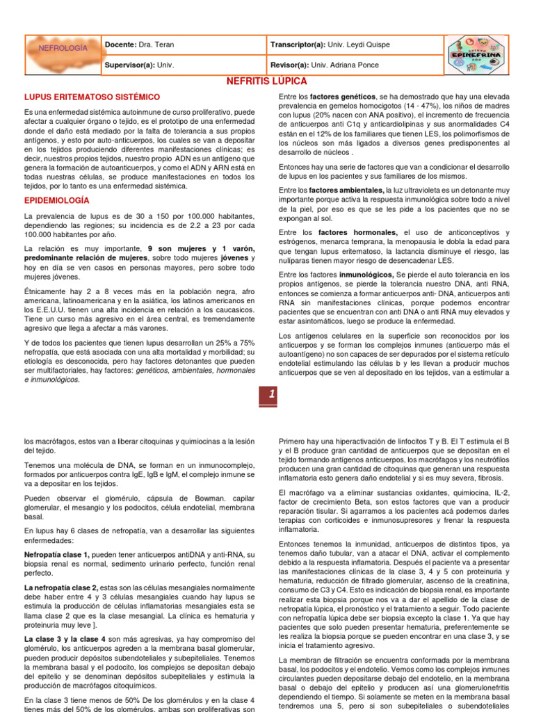 Ne1-R1-T6 Nefropatìa Lùpica | PDF | Inflamación | Sistema inmune