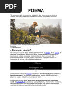 Mapa Conceptual de La Poesia 3 | PDF | Poesía | Escritura