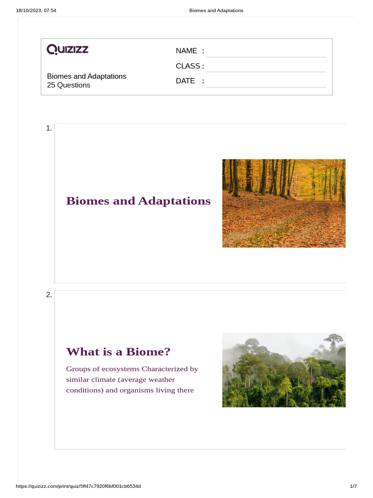 Biomes and Adaptations | PDF | Forests | Rainforest