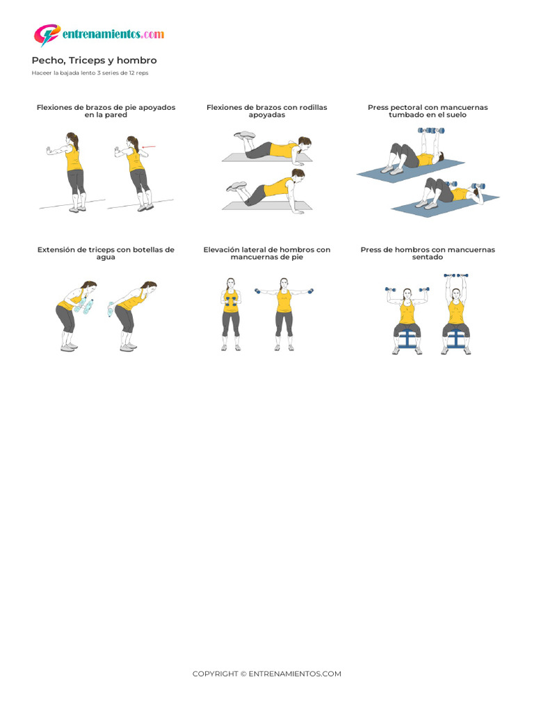 Pecho, Triceps y Hombro | PDF