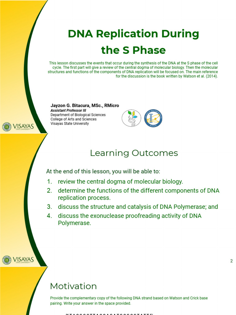 5.2 - DNA Replication During The S Phase | PDF | Dna | Rna