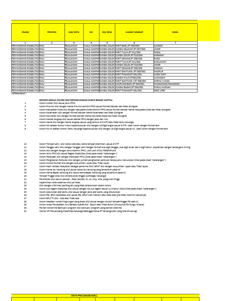 FORMAT ISIAN DATA DISABILITAS | PDF