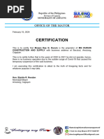 BPLO Business Permit Process Overview | PDF | Government | Business