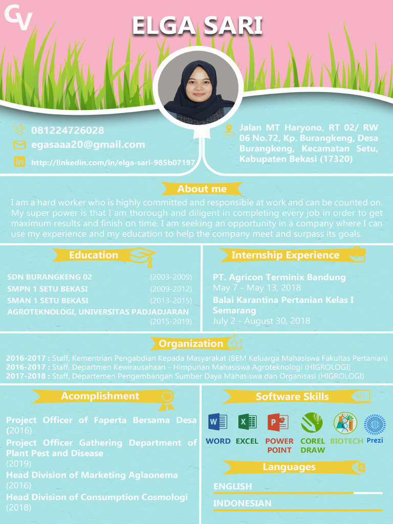 CV Elga Sari | PDF