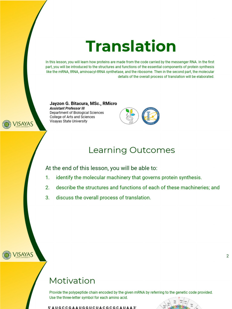 6.2 - Translation | PDF | Translation (Biology) | Ribosome