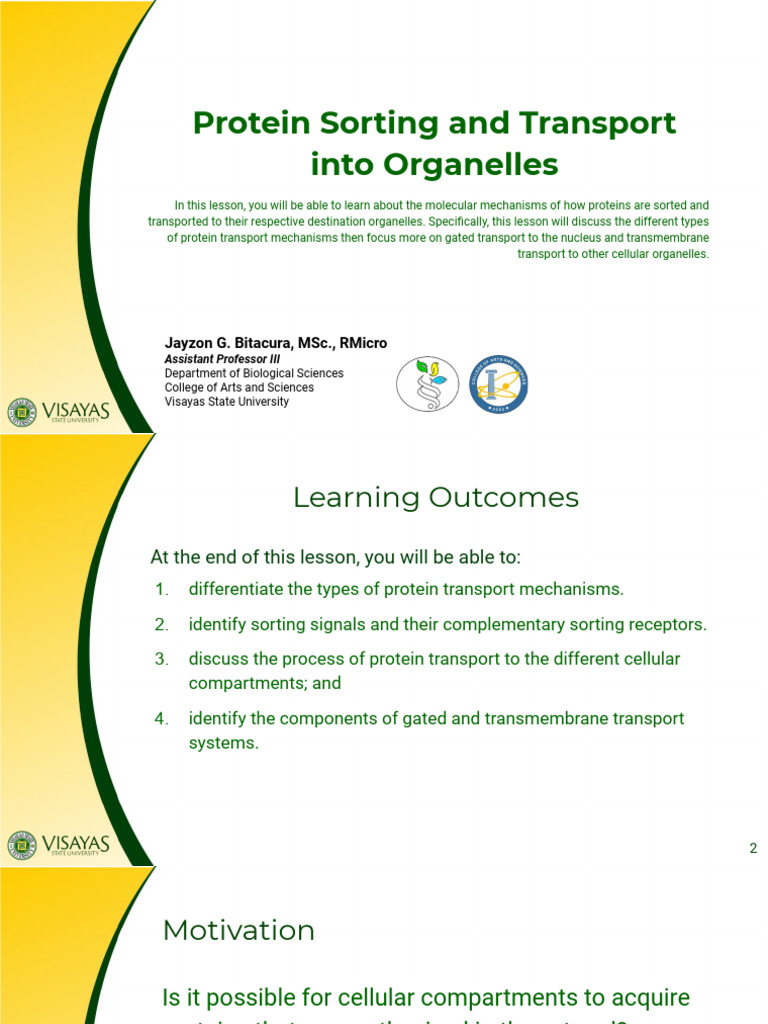 Protein Sorting & Transport Guide | PDF | Protein Targeting ...