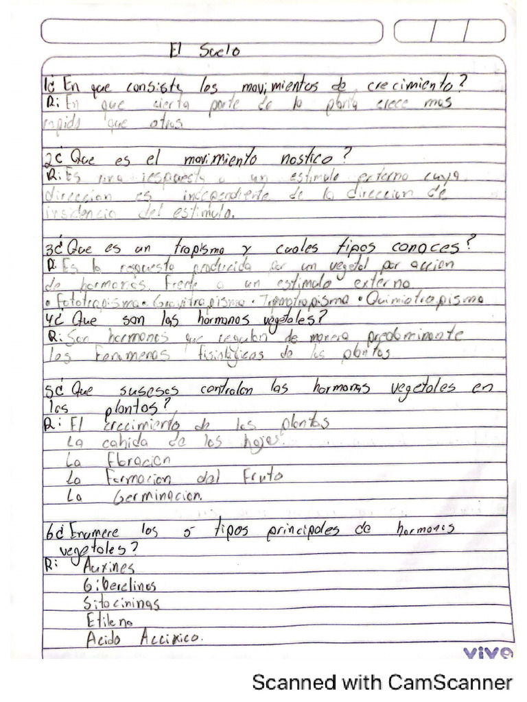 José Thomas Peraza .El Suelo | PDF