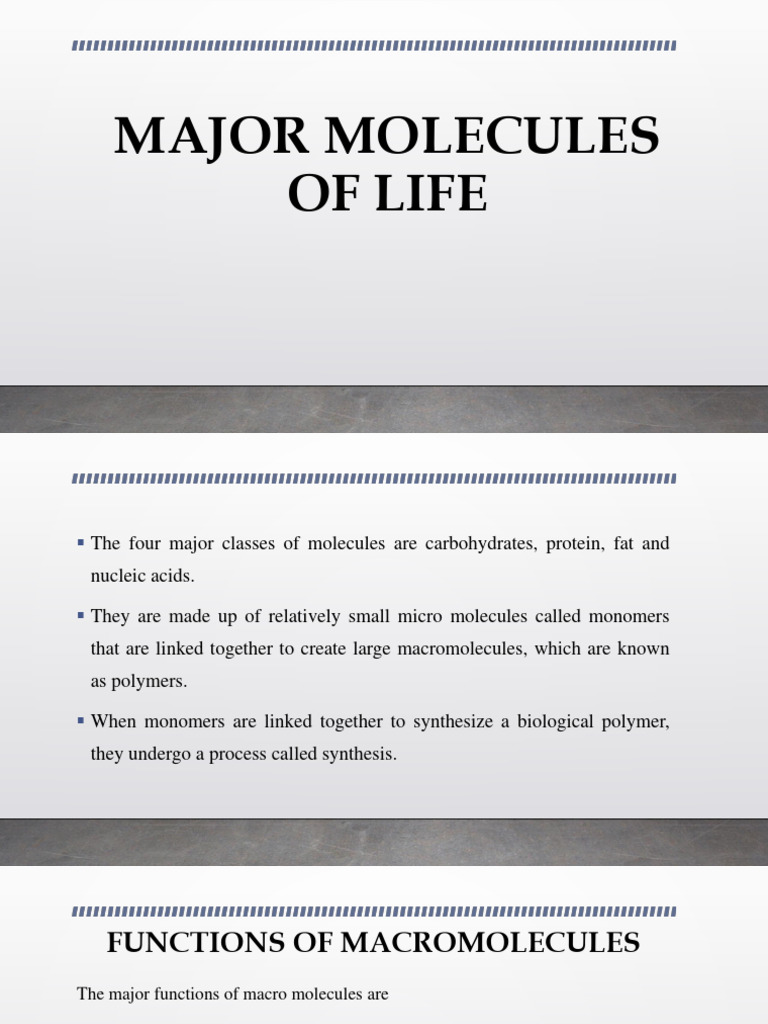 Unit 2 - Major Molecules of Life | PDF | Lipid | Carbohydrates