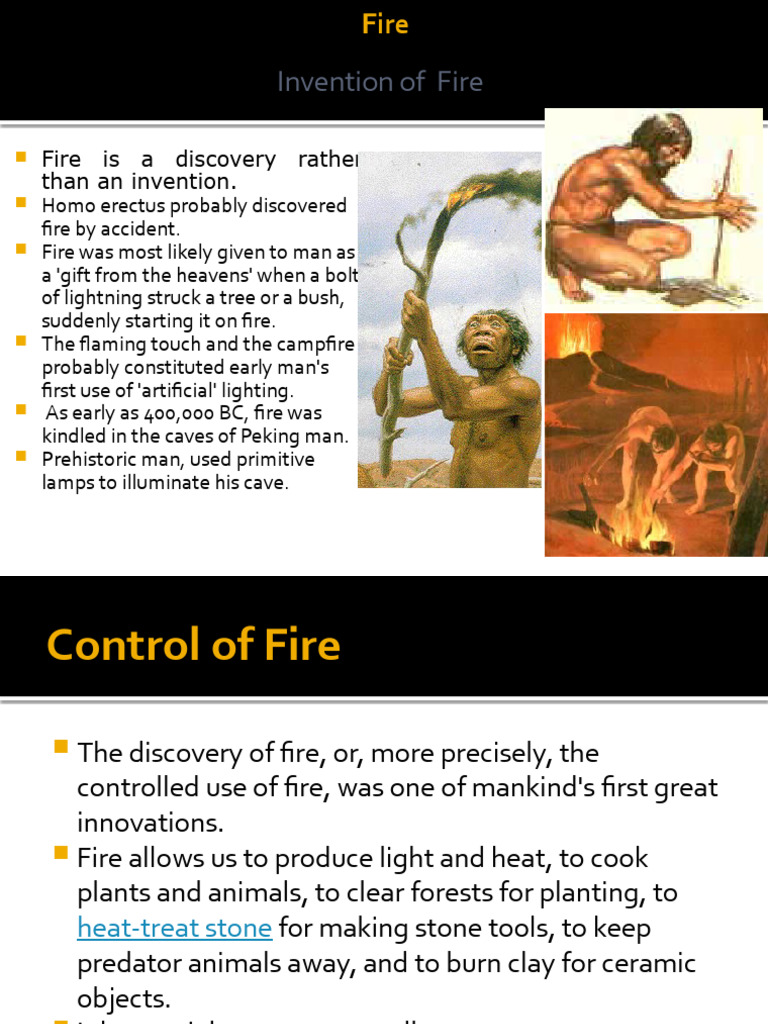 Fire | PDF | Paleolithic | Wood