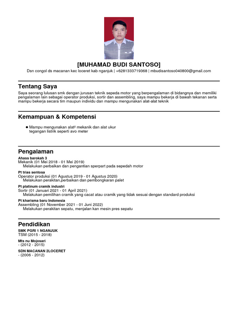 CV Internal Muhamad Budi 1699943846525 | PDF