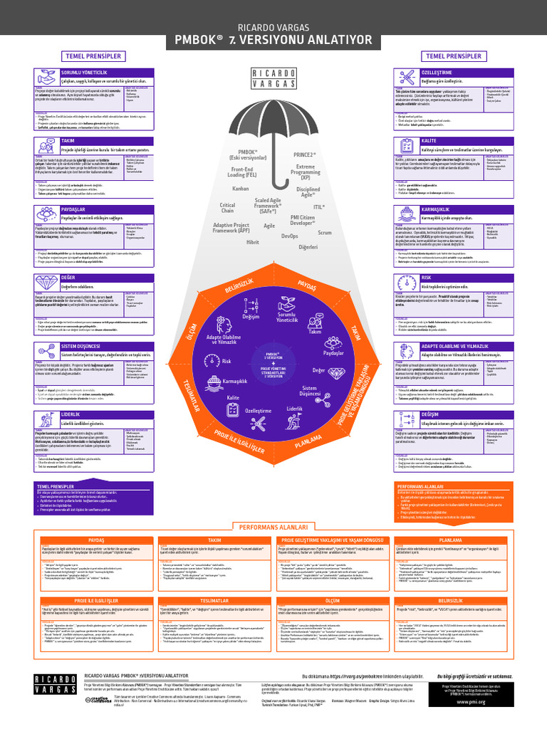Pmbok7-Infographic A1 TURKISH | PDF
