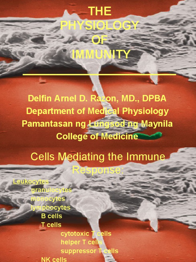 The Physiology of Immunity | PDF | Adaptive Immune System | Immune System