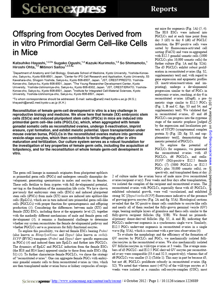 CMR Articulo 1 | PDF | Cell Potency | Meiosis