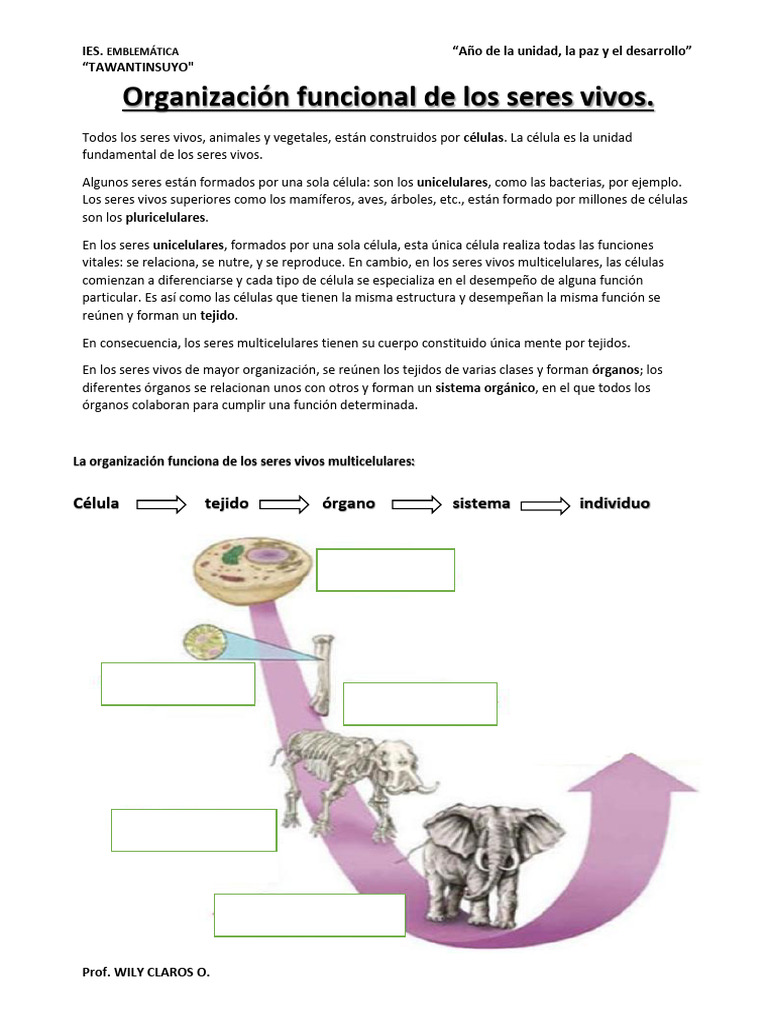 La Célula 2°f, G, H | PDF | Biología Celular) | Organismos