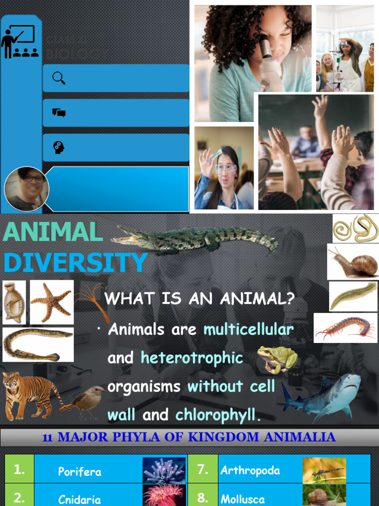 Animal Diversity Basics | PDF | Zoology | Biology