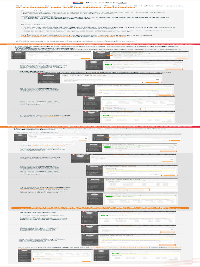 Pago TC Corporate | PDF | Tarjeta de crédito | Industrias de servicio