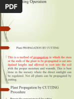 Asexual Propagation by Inarching | PDF | Grafting | Trees