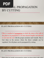 Asexual Propagation by Inarching | PDF | Grafting | Trees