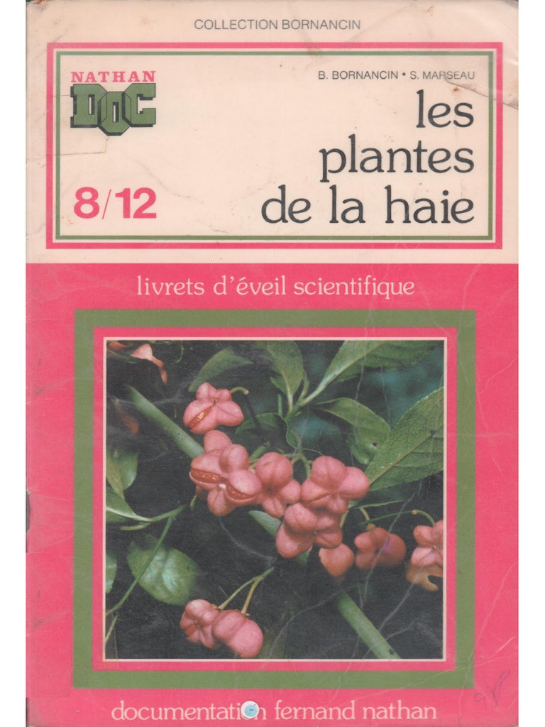 plante | PDF