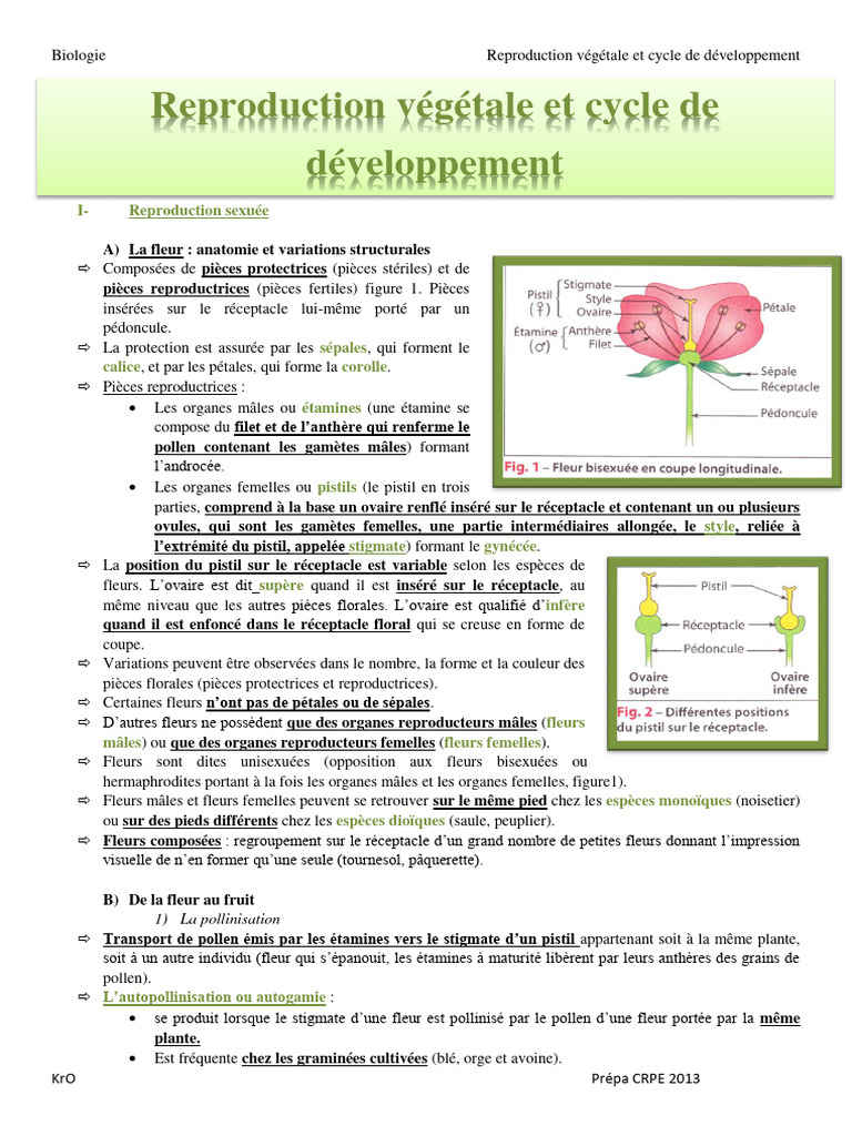 Reproduction et développement des plantes | PDF | Fleurs | Pollinisation