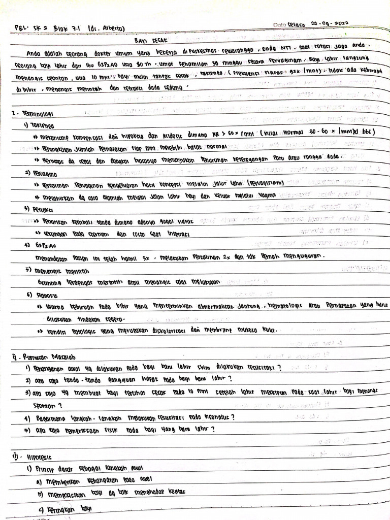 Maria Goreti Sara - PBL SK 2 Blok 7.1 - Disk | PDF