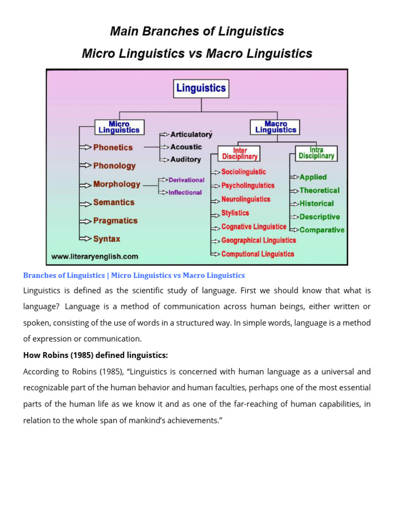 The Branches of Linguistics | PDF | Linguistics | Semantics