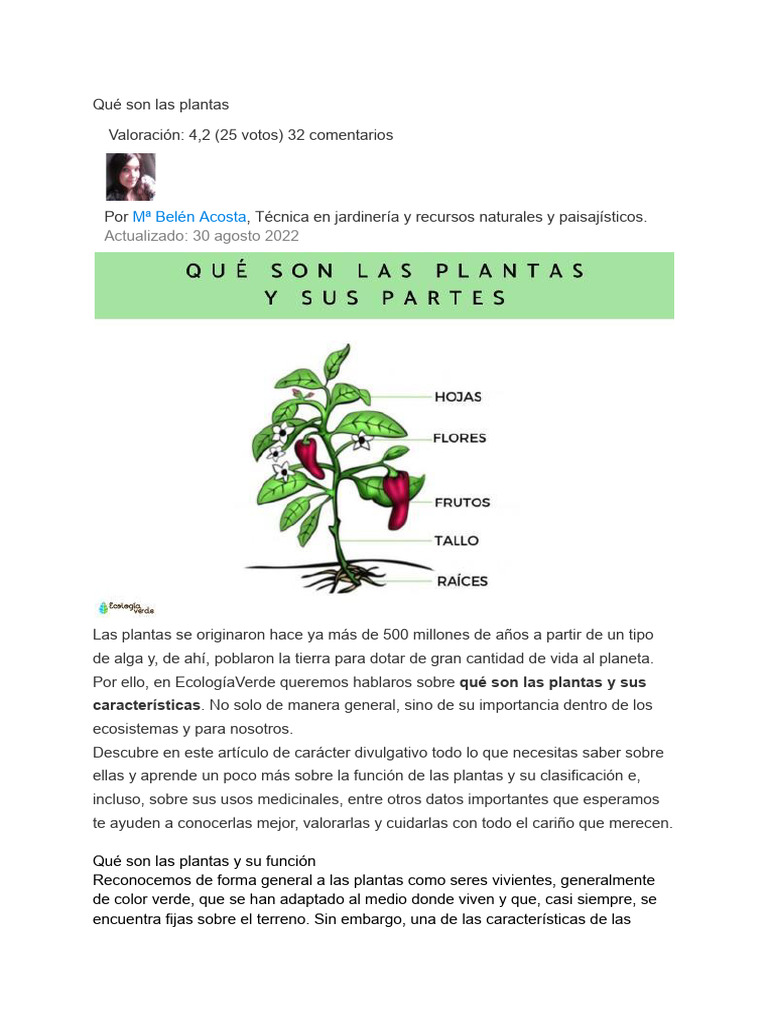 Las Plantas | PDF | Plantas | Plantas medicinales