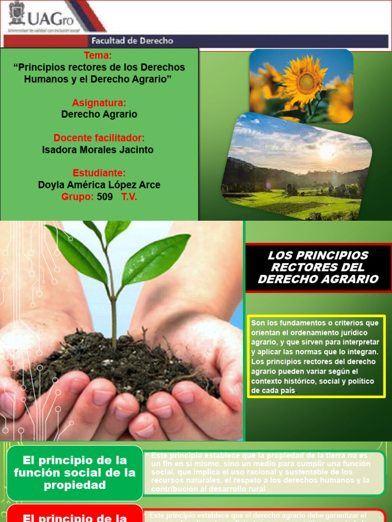 PRINCIPIOS RECTORES DE LOS DERECHOS AGRARIOS Y H. | PDF PRINCIPIOS RECTORES DE LOS DERECHOS AGRARIOS Y H. | PDF