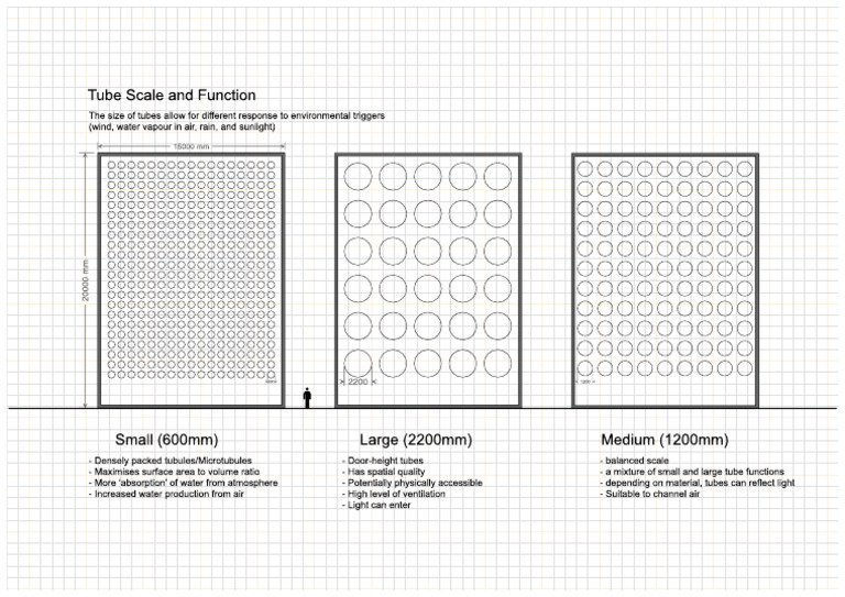 Tube Scale and Function | PDF