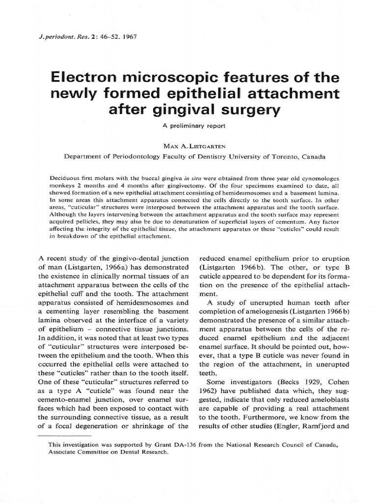Electron Microscopic Features of The | PDF | Epithelium | Human Tooth
