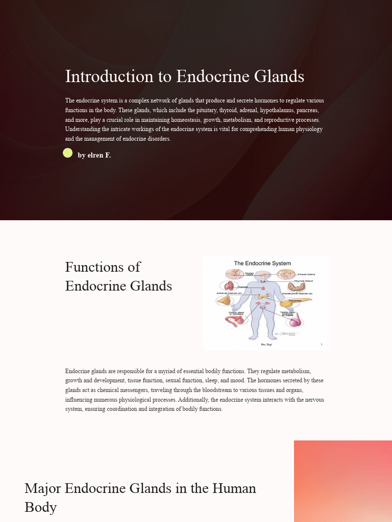 Endocrine Glands | PDF | Endocrine System | Hormone