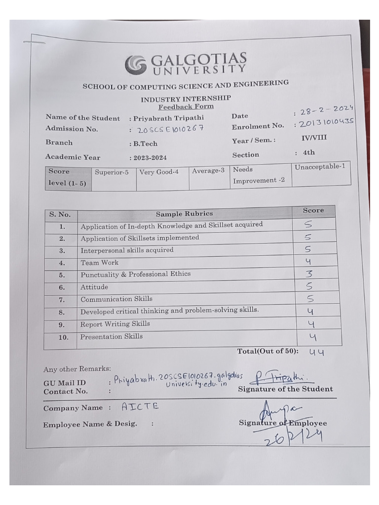 Internship Report Feedback | PDF