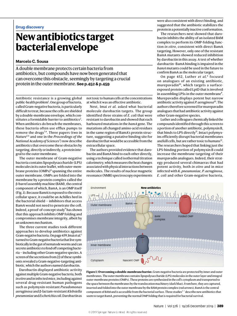 New Antibiotics Target Bacterial Envelope | PDF | Gram Negative ...