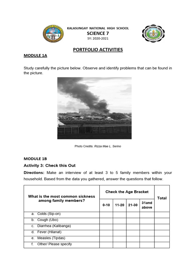 Portfolio Activities | PDF | Mixture | Solubility