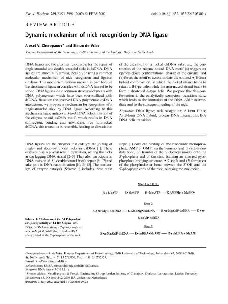 DNA Ligase Mechanism of Nick Recognition | PDF | Dna | Nucleic Acid ...