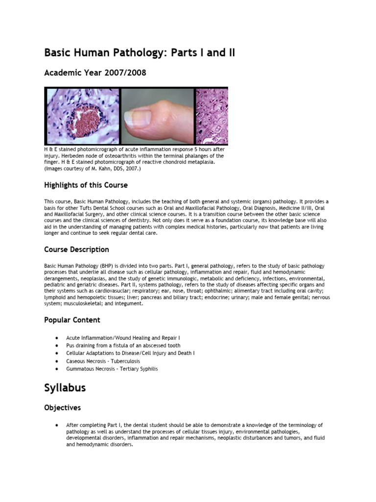 Basic Human Pathology | PDF | Pathology | Inflammation