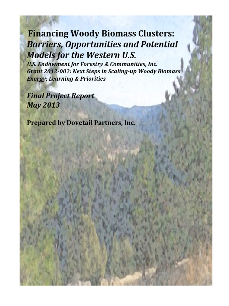 Dovetail Biomass Report 0513 | PDF