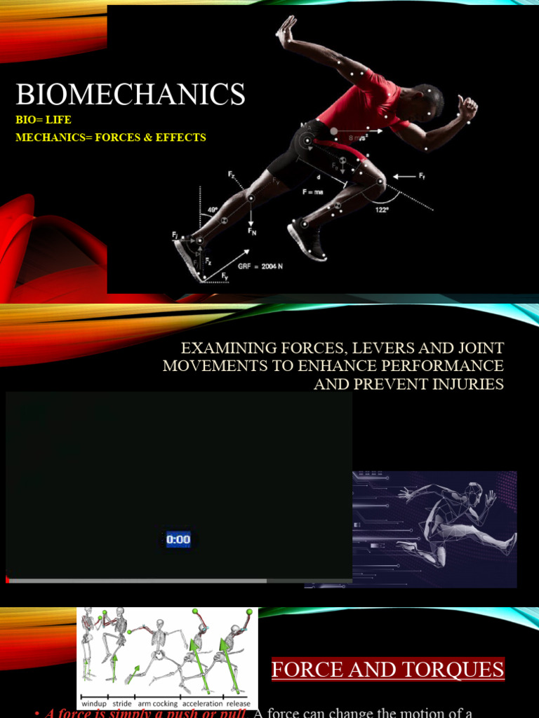 Biomechanics | PDF | Lever | Force