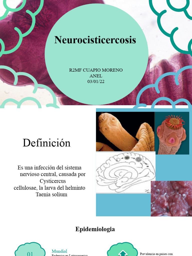 Neurocisticercosis: Epidemiología y Tratamiento | PDF | Causas de la ...