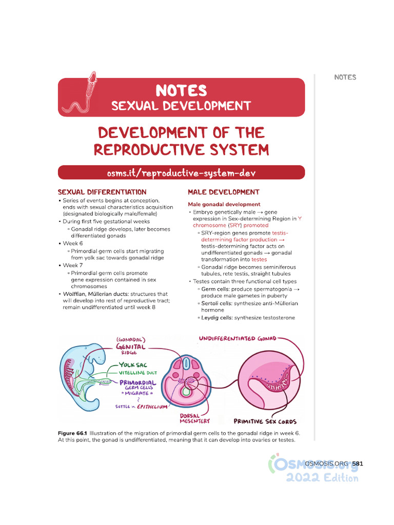 Puberty and Tanner Staging _ Osmosis | PDF