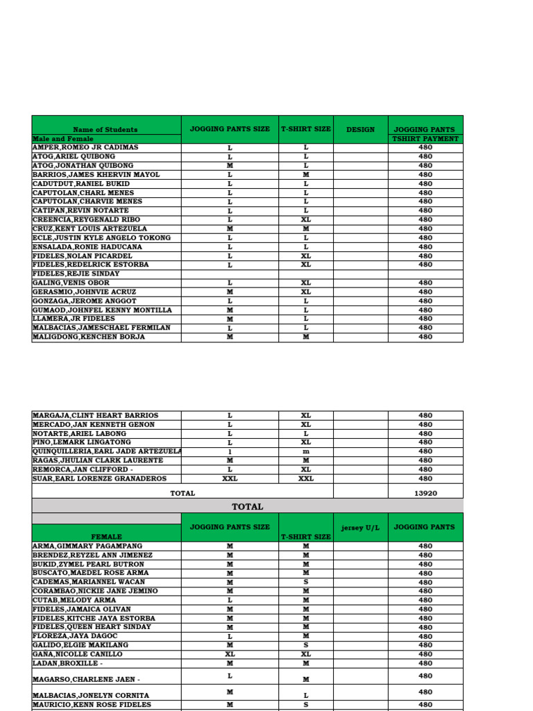 Intrams T-Shirt and Props Order Summary | PDF