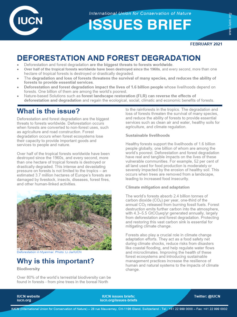 Deforestation-Forest Degradation Issues Brief 2021 | PDF | Habitat ...