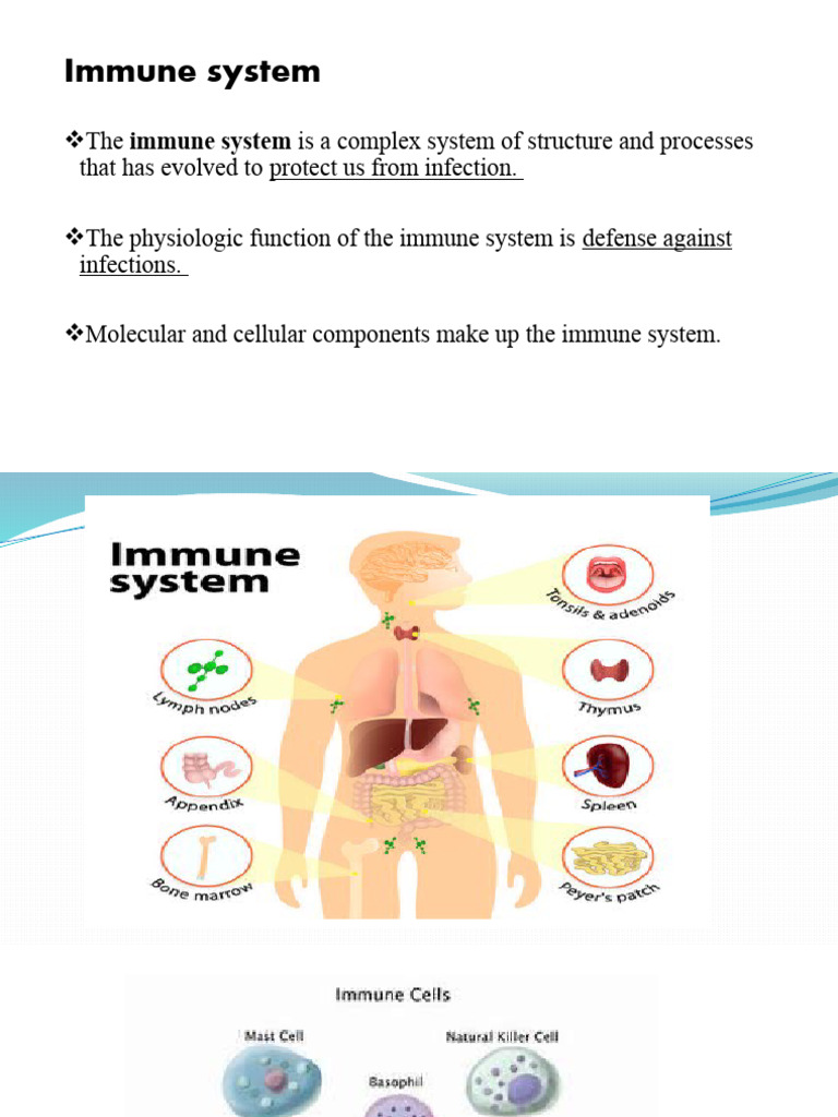 Lect (6) Immunological Techniques | PDF | Antibody | Blood Type